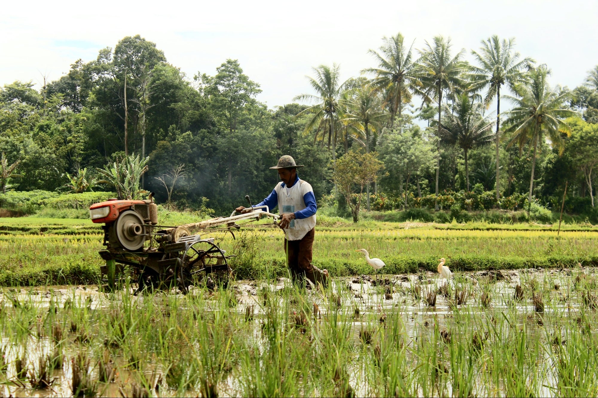 Agritech Platform Gramophone Raises $3.4 Mn Led By Siana Capital