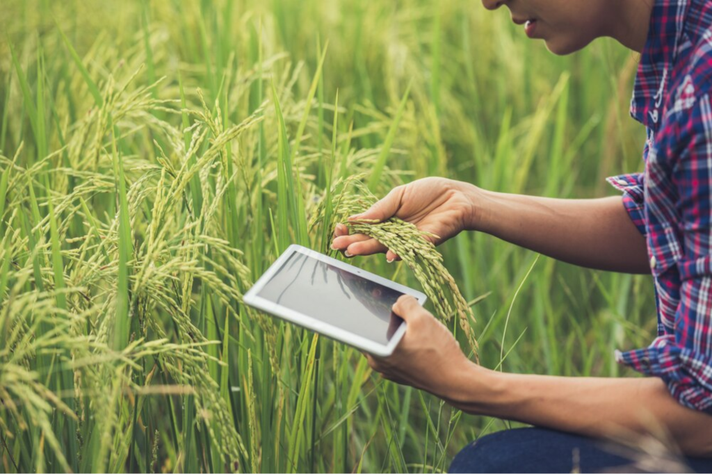 Agri-tech Startup Bull Agritech Raises $100K in Pre-seed Funding