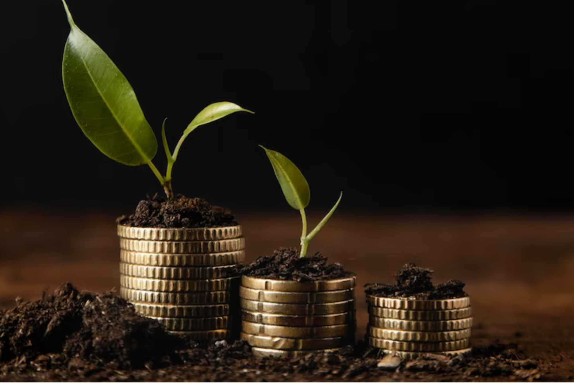 SBL Energy Limited Raises INR 325 Cr from Synergy Capital and Others